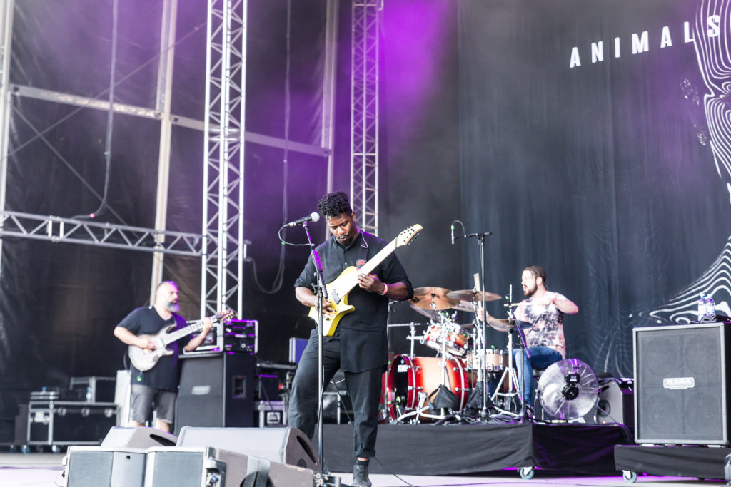 Cost to Hire Animals As Leaders for Private Events